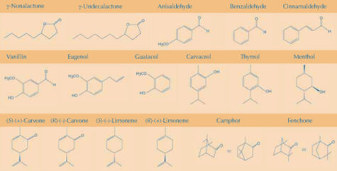 Small molecules make scents – Science in School
