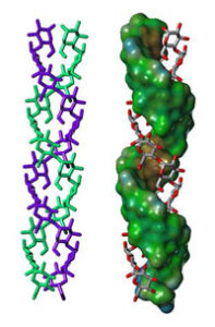 Starch: a structural mystery – scienceinschool.org