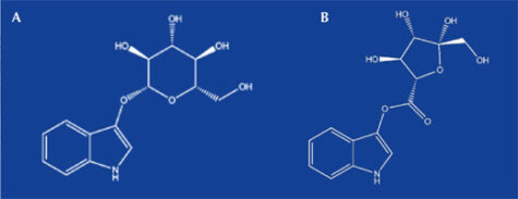 Indigo: recreating Pharaoh’s dye – Science in School