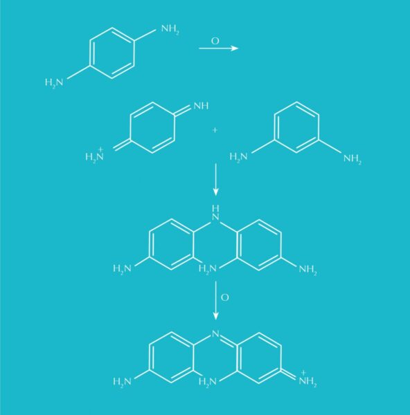 Colour to dye for – Science in School