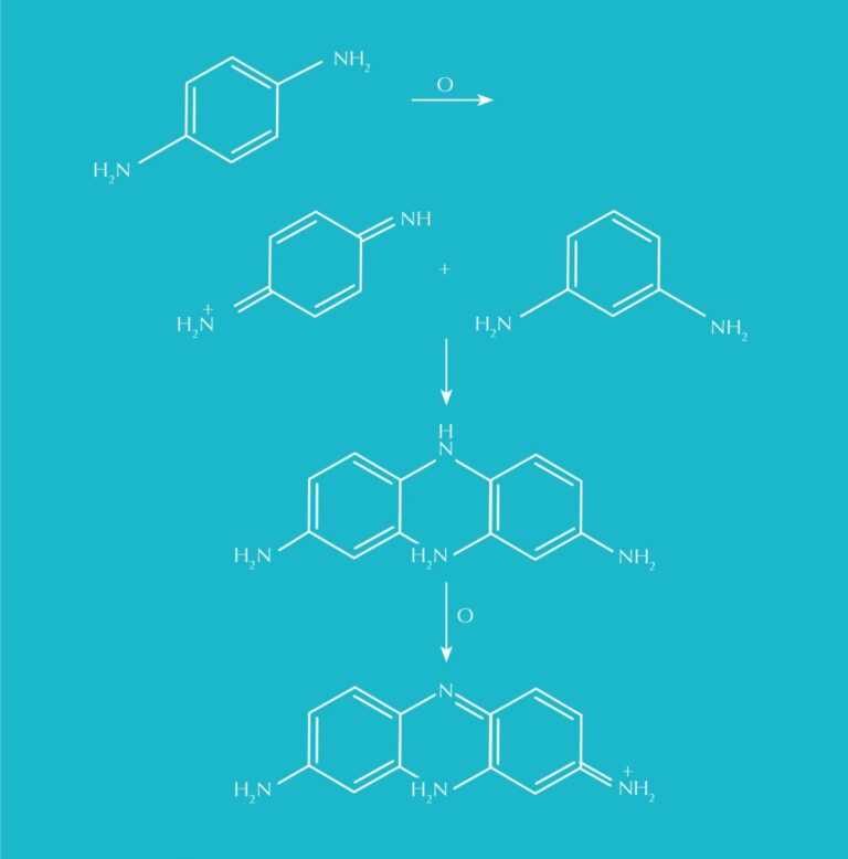 Colour to dye for – scienceinschool.org