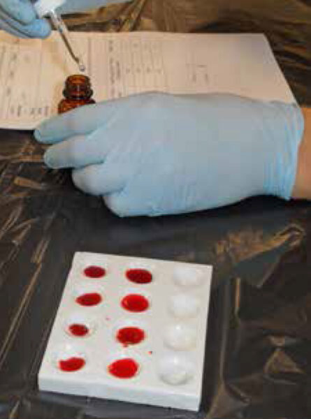Investigating blood types – Science in School