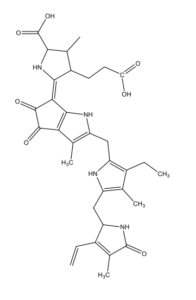 Living light: the chemistry of bioluminescence – scienceinschool.org