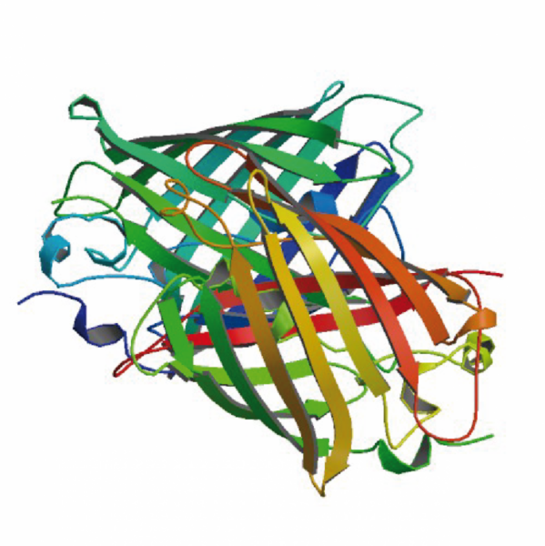 Cellular redox – living chemistry – Science in School