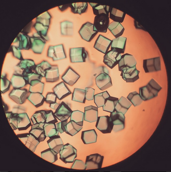 Energising enzyme activities – Science in School