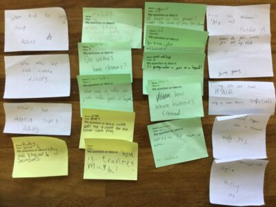 The sweet taste of science – Science in School