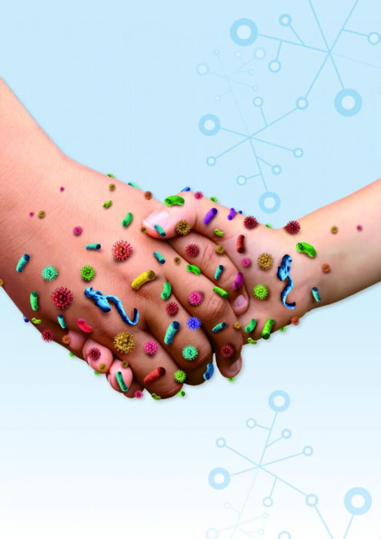 Disease Dynamics Understanding The Spread Of Diseases Science In School disease-dynamics-understanding-the-spread-of-diseases-science-in-school