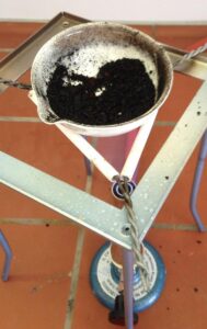 Natural experiments: chemistry with mushrooms – Science in School