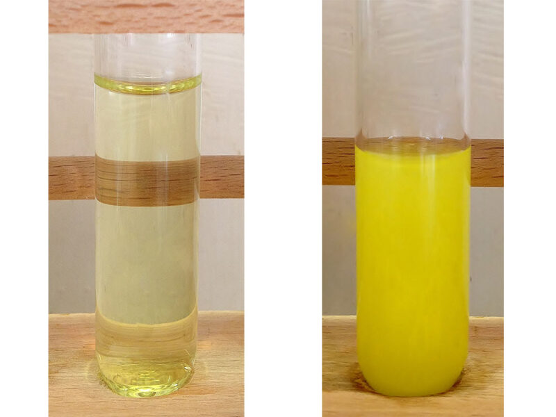 Natural experiments: chemistry with mushrooms – Science in School