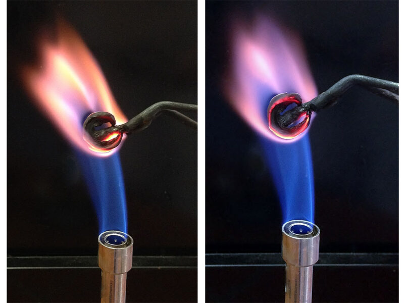 Natural experiments: chemistry with mushrooms – Science in School