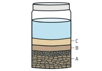 Field research: discovering the structure of soil – Science in School