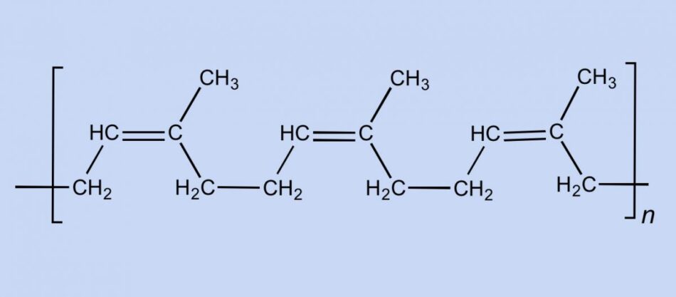 Turning dandelions into rubber: the road to a sustainable future ...