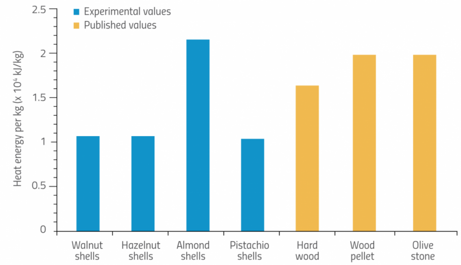 Bioenergy in a nutshell – Science in School