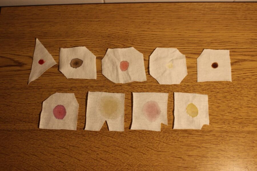 Which laundry enzymes work best? – scienceinschool.org