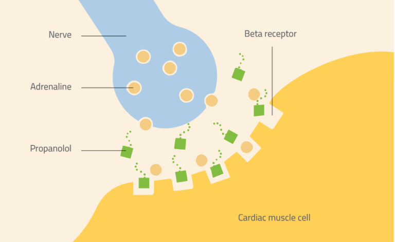 The changing technologies of drug design – Science in School