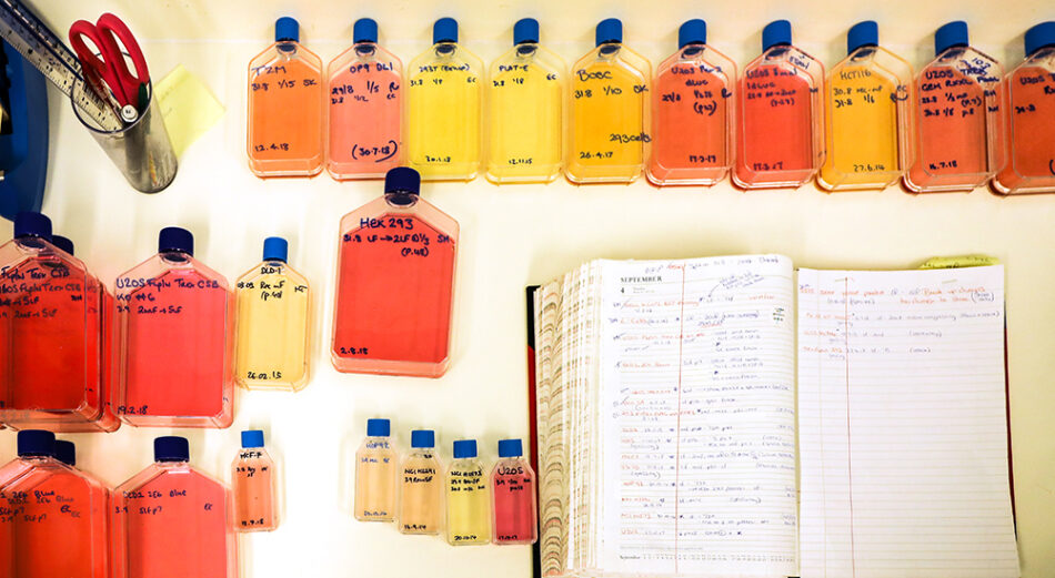 Behind the scenes at the laboratory – Science in School