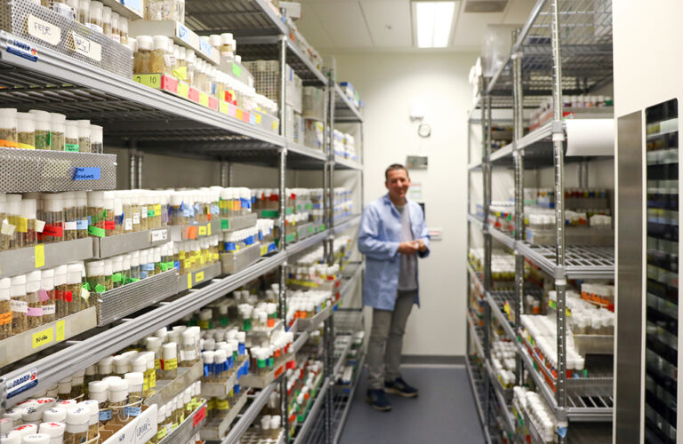 Behind the scenes at the laboratory – Science in School
