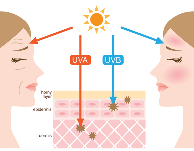 How effective is your sunscreen? – scienceinschool.org