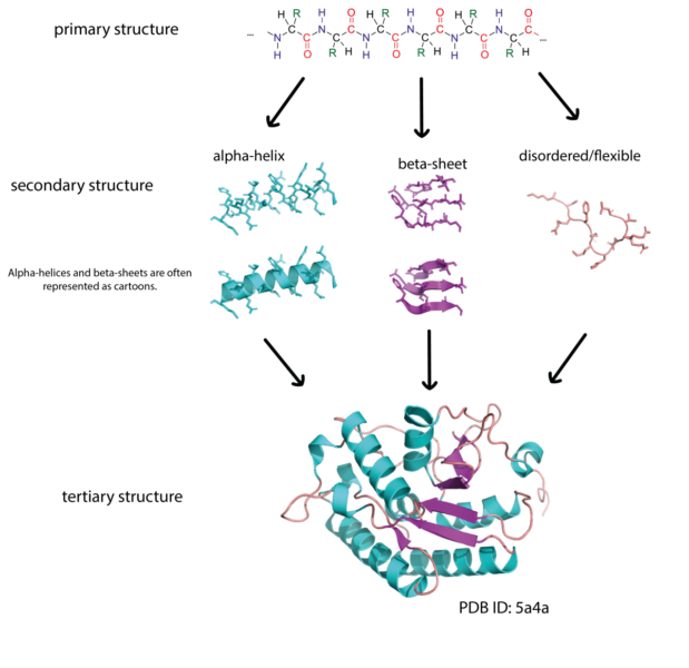 From gaming to cutting-edge biology: AI and the protein folding problem ...
