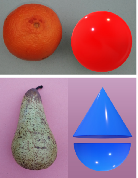 Maths with fruit – Science in School