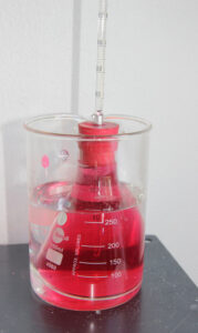 An ocean in the school lab: rising sea levels – Science in School