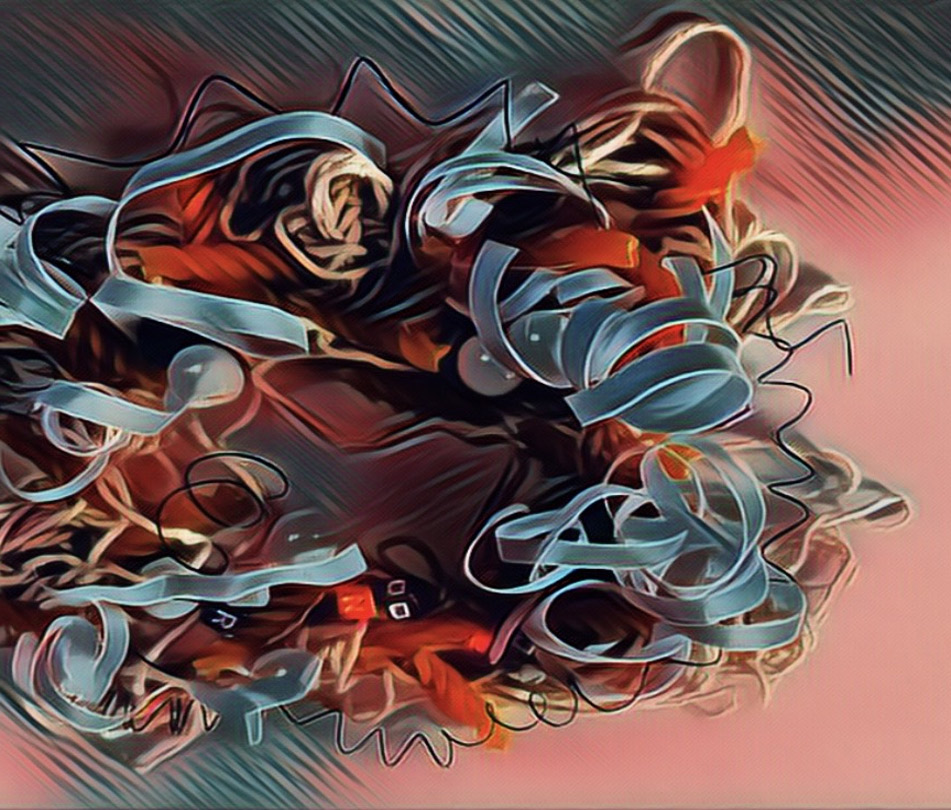 Introducing students to the beauty of biomolecules – Science in School