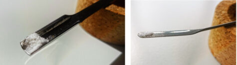 Bioluminescence: combining biology, chemistry, and bionics – Science in ...