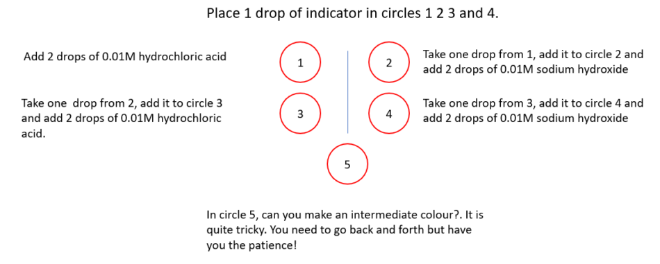 Little wonder: pH experiments the microscale way – Science in School