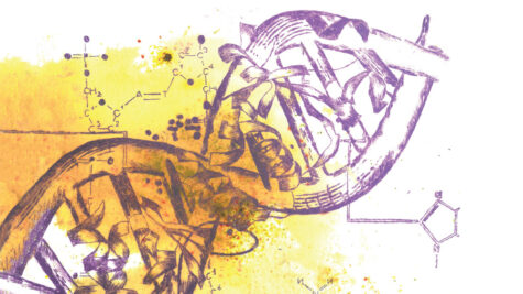 Bringing the beauty of proteins to the classroom: the PDB Art Project ...