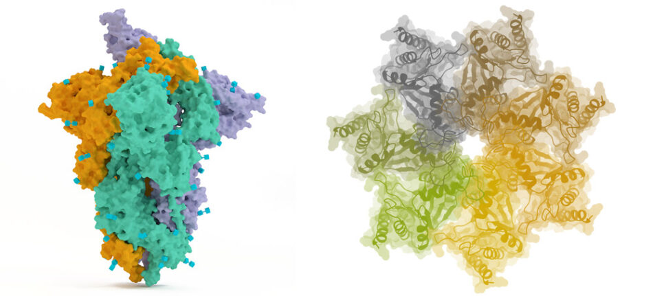 Bringing the beauty of proteins to the classroom: the PDB Art Project ...
