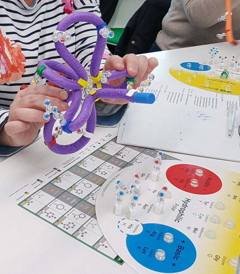 Bringing the beauty of proteins to the classroom: the PDB Art Project ...