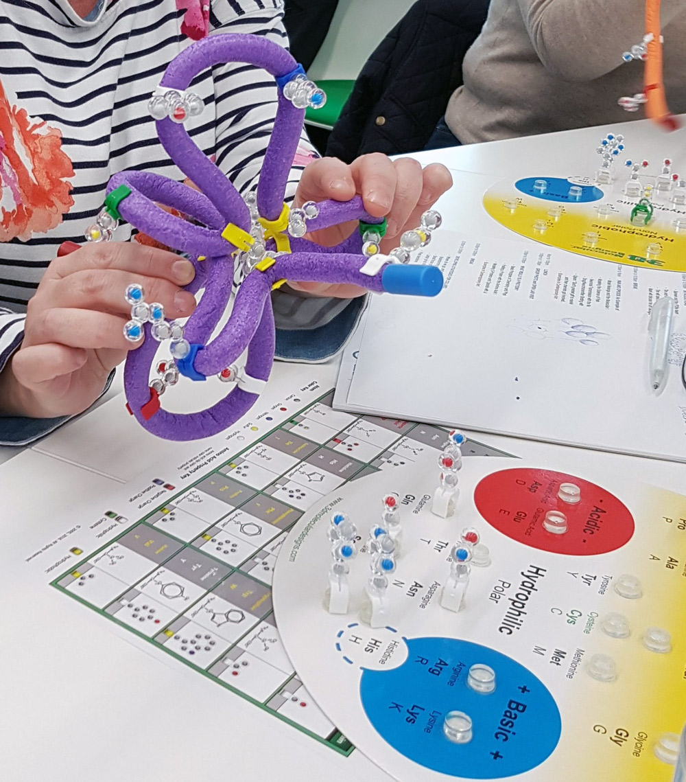 Bringing the beauty of proteins to the classroom: the PDB Art Project ...