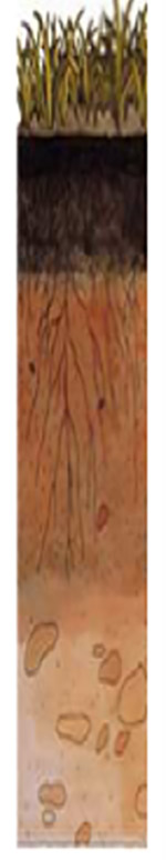 Watery world – hands-on experiments from Earthlearningidea – Science in ...