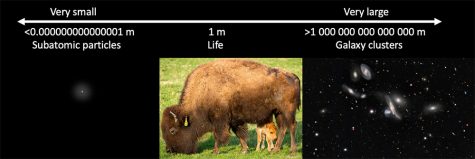 Exploring the universe: from very small to very large – Science in School