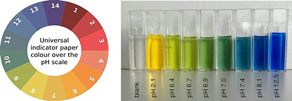 An ocean in the school lab: carbon dioxide at sea – Science in School