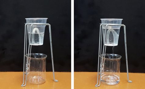 My favourite experiments – connecting teachers and ideas – Science in ...