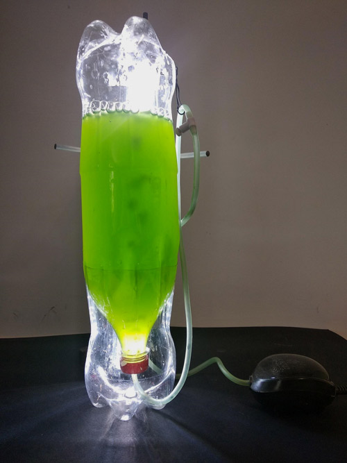 From drugs to climate change: hands-on experiments with Daphnia as a ...