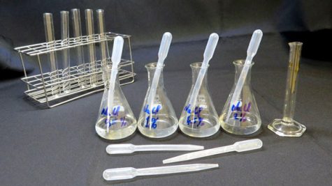 From drugs to climate change: hands-on experiments with Daphnia as a ...