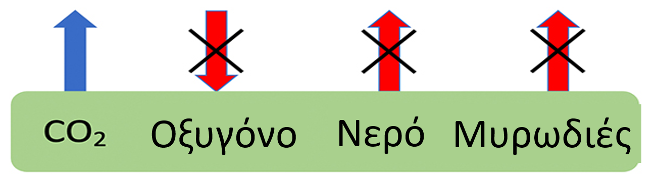 Πλαστικές συσκευασίες τροφίμων : απλά απαίσιο, ή είναι πιο περίπλοκο ...