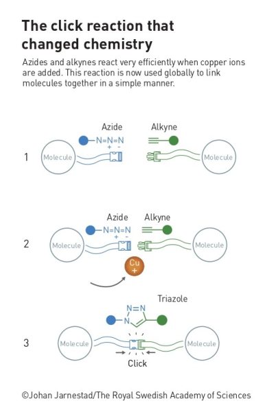 Click does the trick: understanding the 2022 Nobel Prize in Chemistry ...