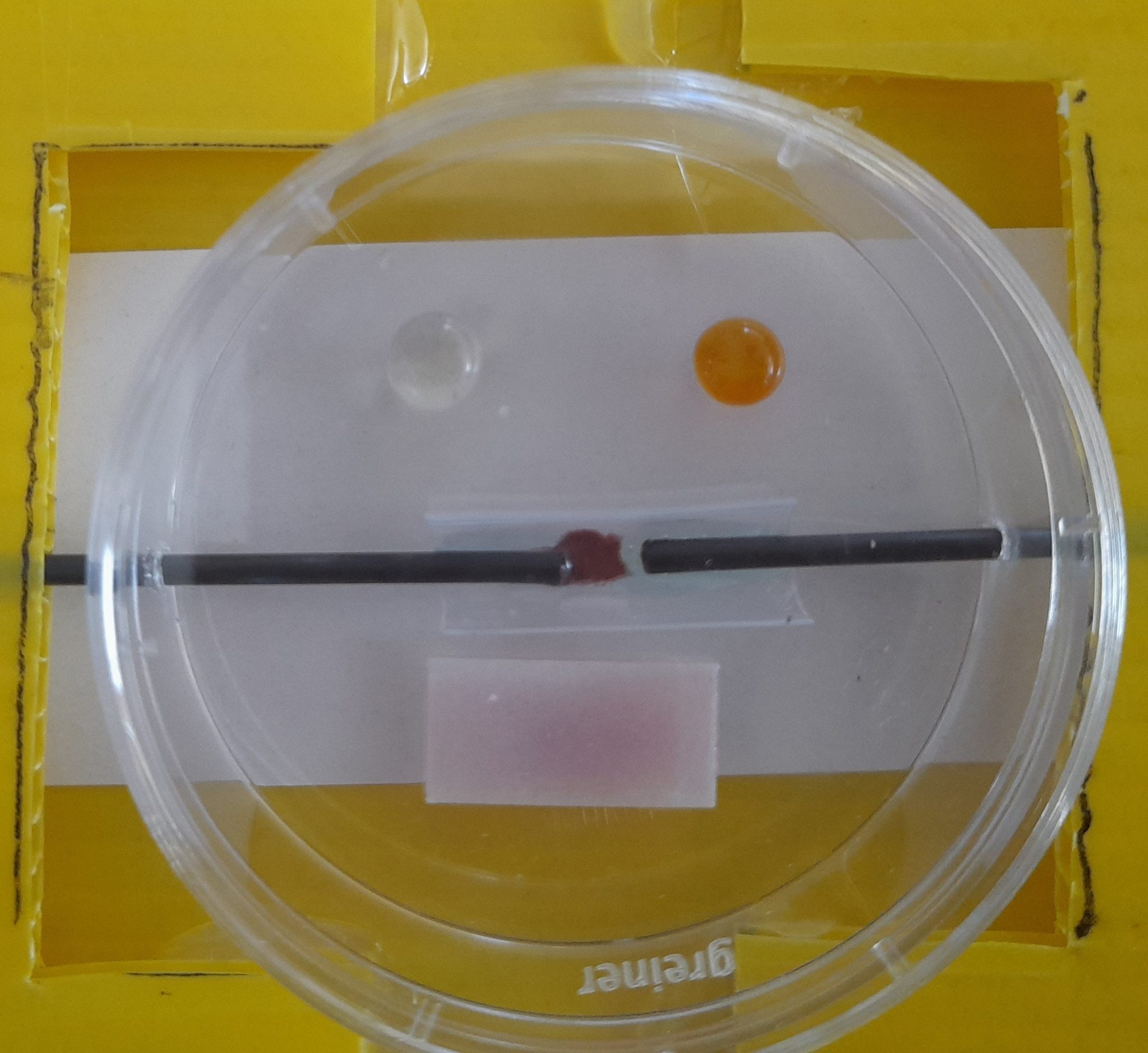 Elegant electrolysis – the microscale way – scienceinschool.org