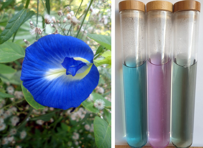 Colour in nature: true blue – scienceinschool.org