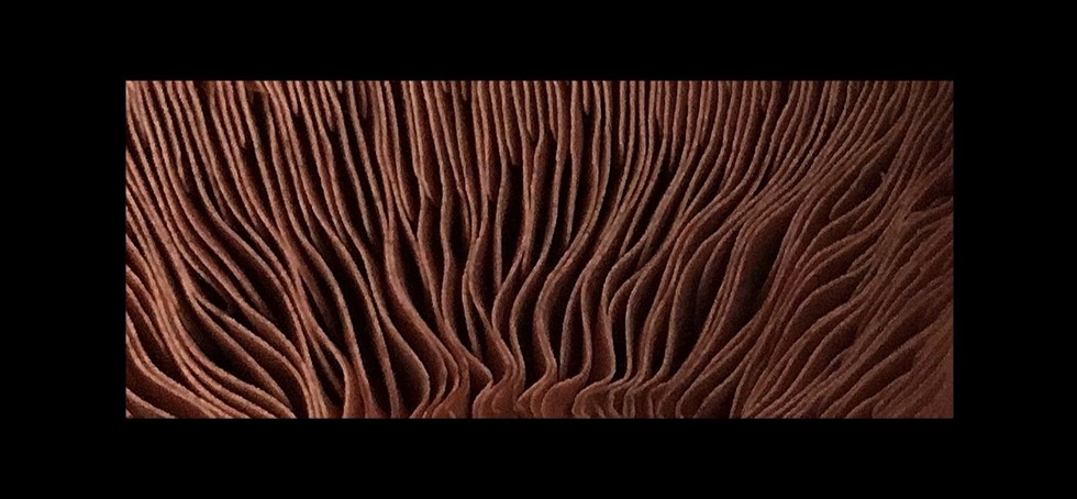 It’s a small world: using microscopy to link science, technology, and ...