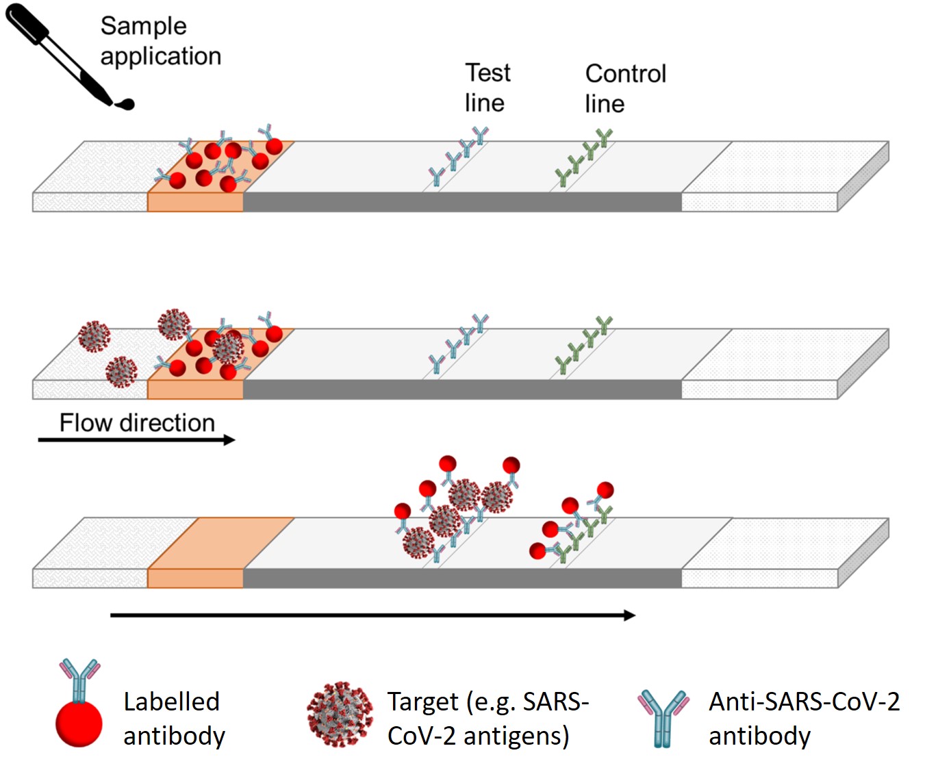 Much ado about nothing: spot misleading science claims and explore ...