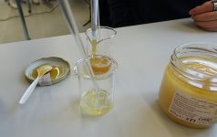 To bee or not to bee: the biology of bees and the biochemistry of honey ...