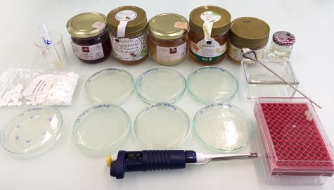 To bee or not to bee: the biology of bees and the biochemistry of honey ...