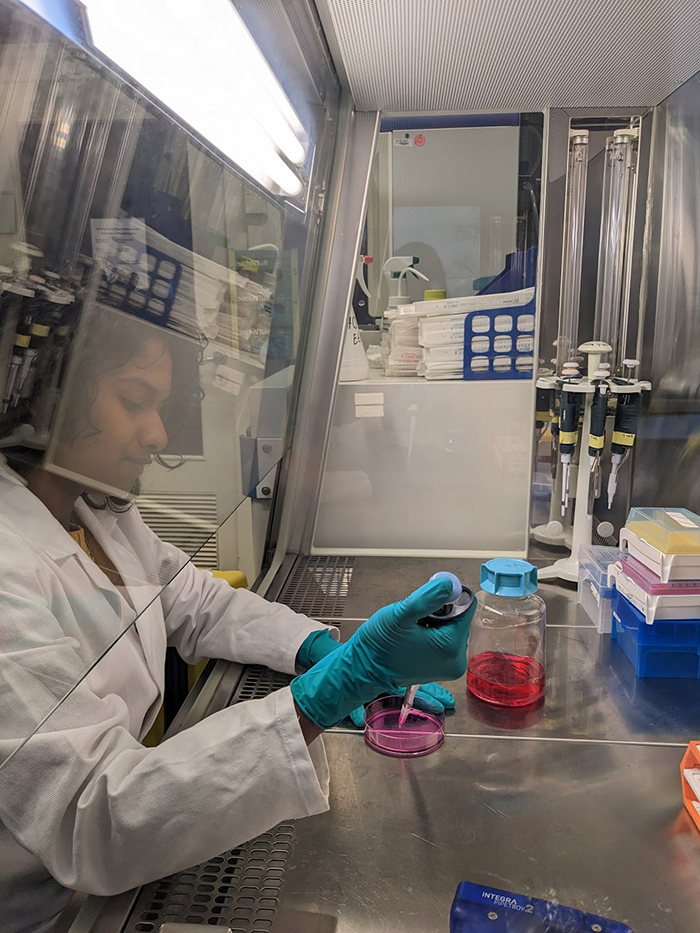 From Petri dish to plate: the journey of cultivated meat – Science in ...