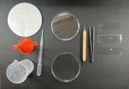 Moss Safari: what lives in moss? – scienceinschool.org