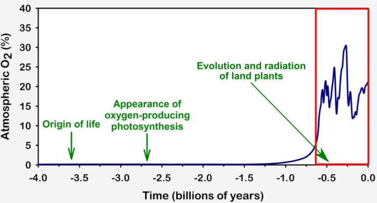 When plants moved ashore and changed the planet – scienceinschool.org