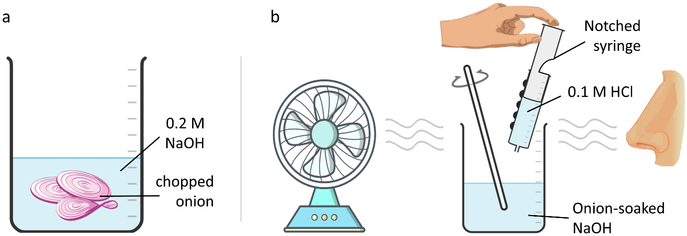 Making chemistry accessible for students with vision impairment ...